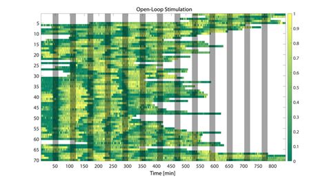 Open Loop Experiments Single Cell Traces Of The Yellow Fluorescence