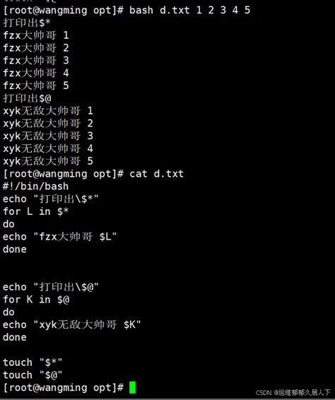 shell的变量与赋值 shell 变量赋值 csdn博客