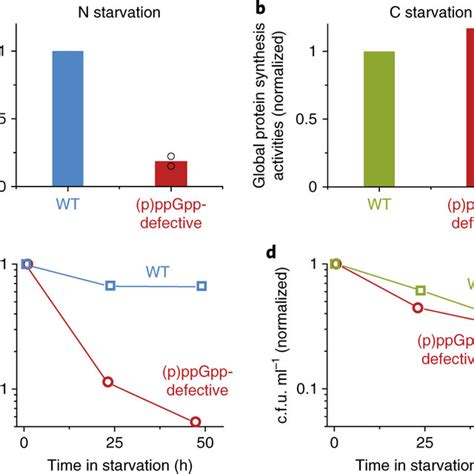Condition Dependent Effects Of Pppgpp On Global Protein Synthesis