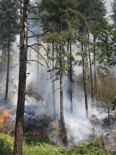 Няма опасност пожарът на планина Славянка да премине границата дъжд в Гърция помогна От деня