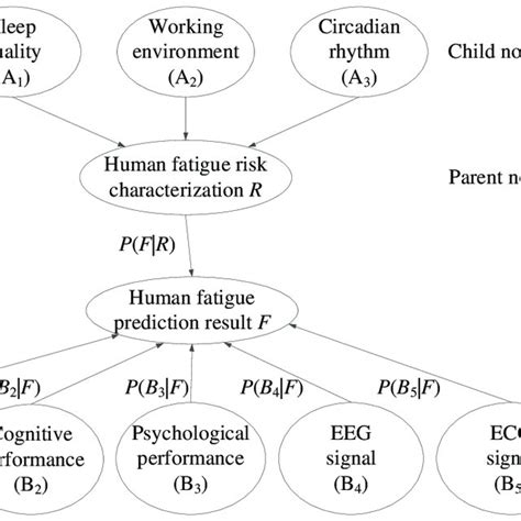 Sbn Human Fatigue Prediction Model Download Scientific Diagram