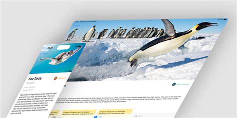 Github Joaofranco03wildcatch 🐻‍ ️ Wildcatch Learn About Wildlife