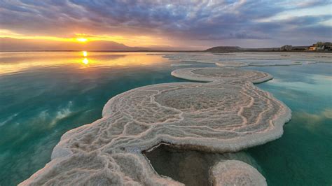 scientists say salinity