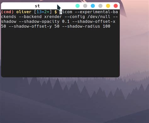 Shadow Does Not Respect Opacity Settings With Experimental Backends If Window Size Is Small