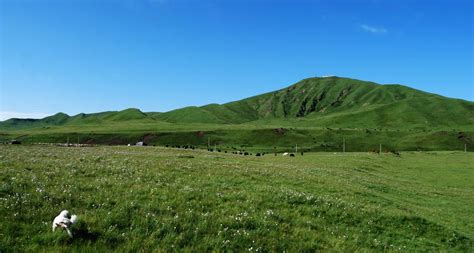 Understanding Cultural Encapsulation Definition And Examples Insight