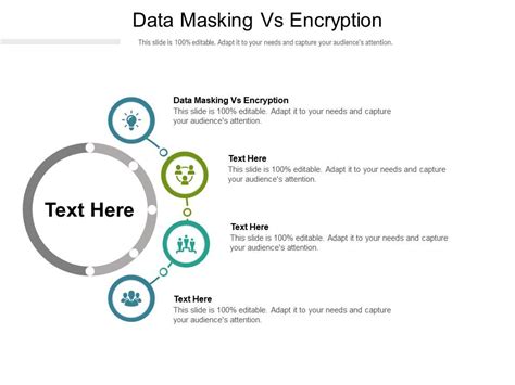 Data Masking Vs Encryption Ppt Powerpoint Presentation Gallery Graphics Download Cpb