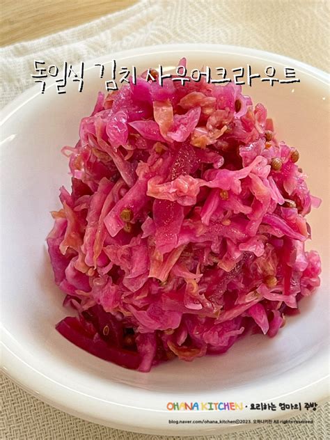 사우어크라우트 만들기 독일식 양배추 김치 3가지 재료로 간편하게 만드는 양배추절임