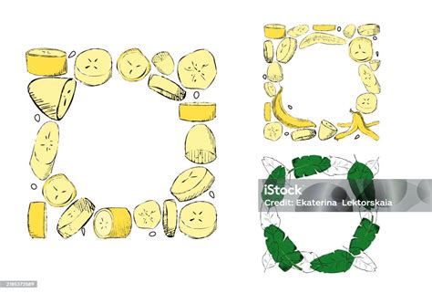 사각형 프레임의 바나나 세트입니다 손으로 그린 그래픽 만화 템플릿 벡터 클립 아트는 흰색 배경 이국적인 식물에 고립되어 있습니다 메뉴 가격표 라벨 및 천연 포장을 디자인하는