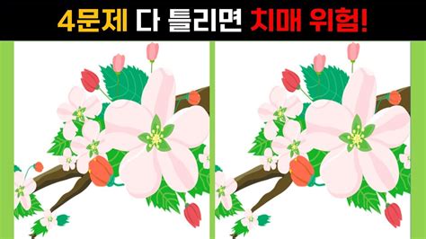 치매를 예방하는 두뇌운동 다른 그림을 찾고 치매를 박살내요 90초 동안 틀린그림 3개를 찾아보세요 Youtube