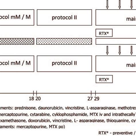 Acute Lymphoblastic Leukemia Ic Bfm 2002 Treatment Protocol Download