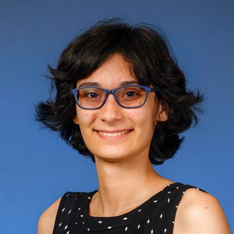 Zoa Katok Lecturer University Of Illinois Chicago College Of Engineering Linkedin