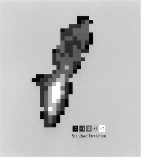 Spatial Distribution Of The Standard Deviation Of The Mean Coefficient Download Scientific