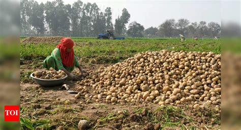 Iit Mandi Develops Computational Model For Automated Disease Detection