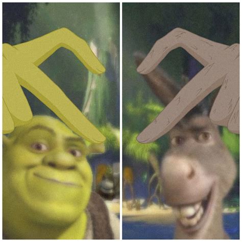 🔥 Free Download Shrek Meme Wallpaper By Josephfranco Wallpapersafari