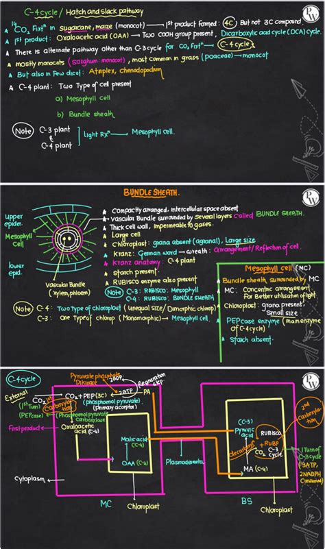 My Board Work 😁pw ️ Rupesh Chaudhary