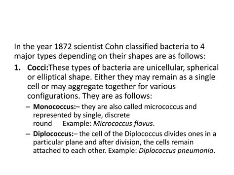 Lesson 8a Basic Classification Of Bacteria Pptx Infectious Diseases Diseases And Conditions
