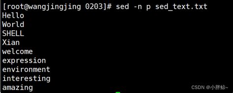 shell sed详解 csdn博客