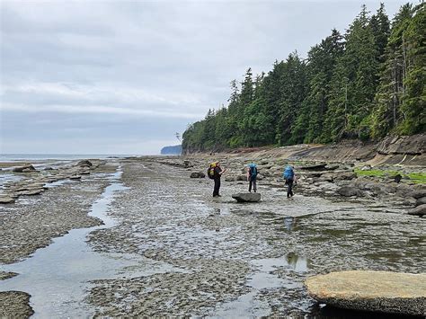 Vancouver Island Hikes And Tours All You Should Know Before Going