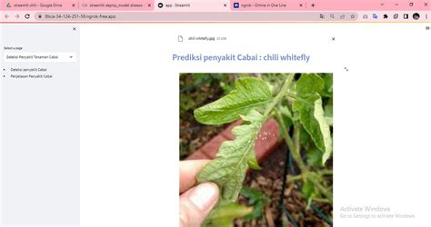 Deep Transfer Learning Densenet121 Model For Bean Disease Classify By Silvia Rahma Medium