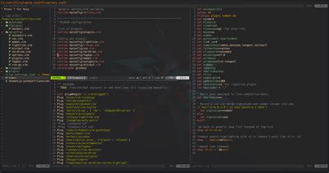 Show Me Your Well Organized Vim Config R Vim