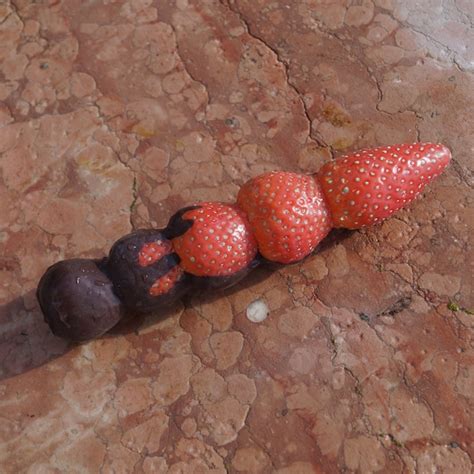 Strawberry Sex Toy Etsy