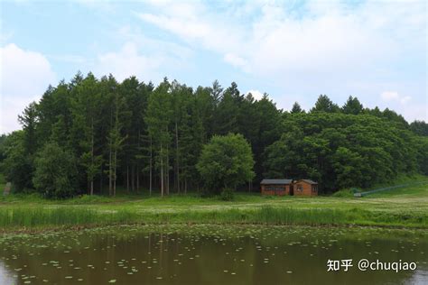 长春净月潭风光 知乎