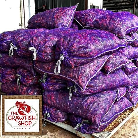 The Crawfish 🦞🦞🦞🦞🦞🦞🦞🦞🦞🦞🦞🦞🦞🦞🦞 Live Crawfish We Will Have Additional