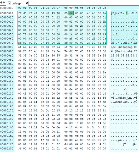 Flutter App Is Closing When Sending Request Using Dio With Huge Data