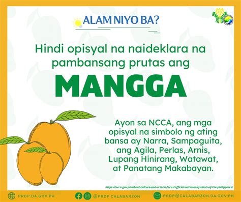 Prdp Calabarzon Prdpfacts Ano Ang Pambansang Prutas