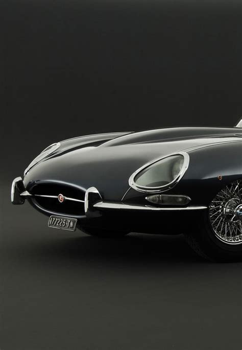 Ludo Lambert Amfludolambert Profile Pinterest