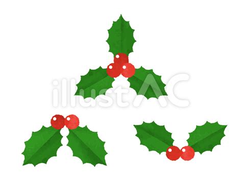 【クリスマス・装飾】ヒイラギ・柊・水彩イラスト No 22224240｜無料イラスト・フリー素材なら「イラストac」