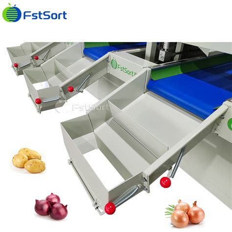 Potato Sorting Grading Machine Vegetable Sorter Grader Onion Classifying Onion Processing
