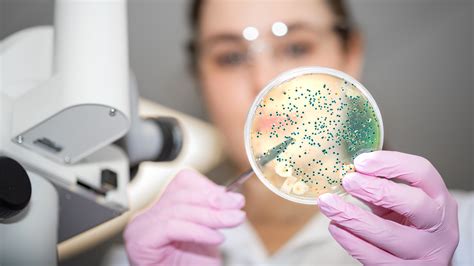 Gut Microbiome Tests Understanding Them In Depth Sova Health