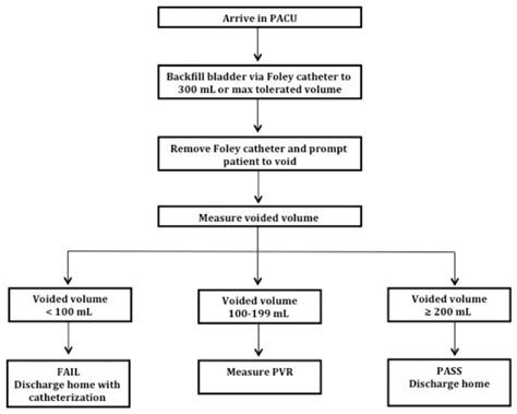 Improving Postoperative Efficiency An Algorithm For Expedited Void