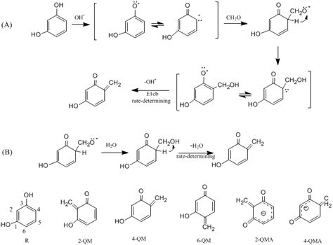 Resorcinol Reaction With Formaldehyde At Paul Bennette Blog