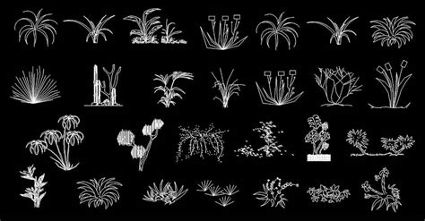 Grass Elevation Dwg Model Free Download Autocad File
