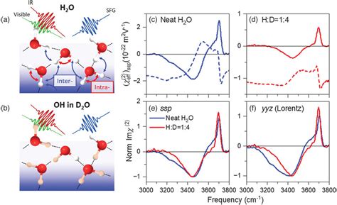 Ab The Schematic Of Intramolecular And Intermolecular Vibrational