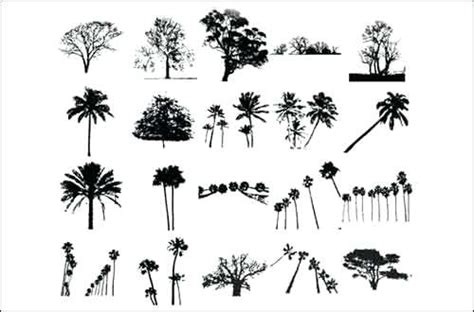 Tree Plan Vector Free Download At Getdrawings Free Download