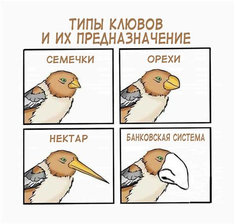 Типы клюва Пикабу