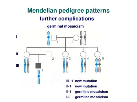 Ppt Lesson 2 Monogenic Disorders Mendelian Inheritance Powerpoint Presentation Id 3906337