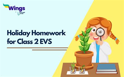 Holiday Homework For Class 2 Evs Interactive And Engaging Ideas
