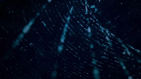 Soluciones E Commerce Dms Software