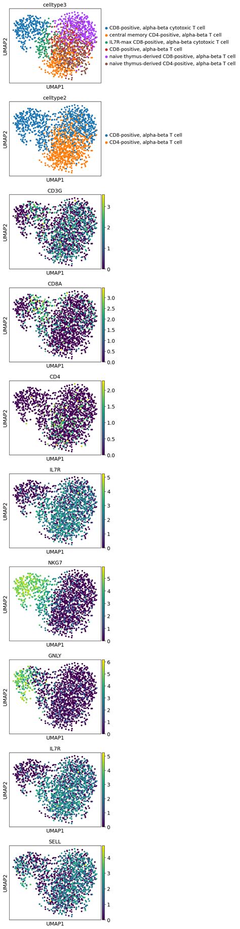 notebook 2 celltype annotation and beyond — besca 2 4 documentation
