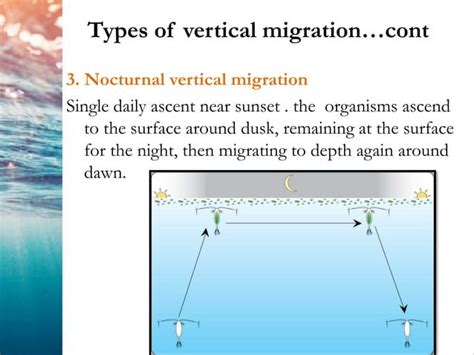 Diel Vertical Migration Dvm Pptx