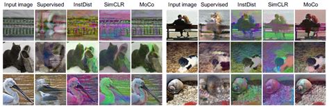 review — what makes instance discrimination good for transfer learning