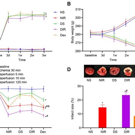 Identification Of Myocardial Ischemiareperfusion Mir Injury In