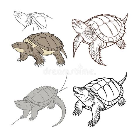 Majestic Common Snapping Turtle In Natural Habitat Stock Vector