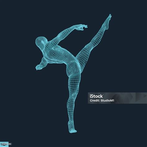 체조 선수 이다입니다 남자 남자 인체 모델의 3 차원 모델입니다 Championship에 대한 스톡 벡터 아트 및 기타 이미지 Championship