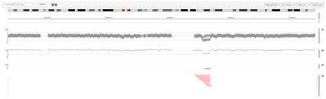 large bedgraph file not working w accompanying index · issue 857