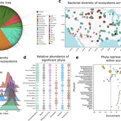 Pdf Differential Roles Of Deterministic And Stochastic Processes In